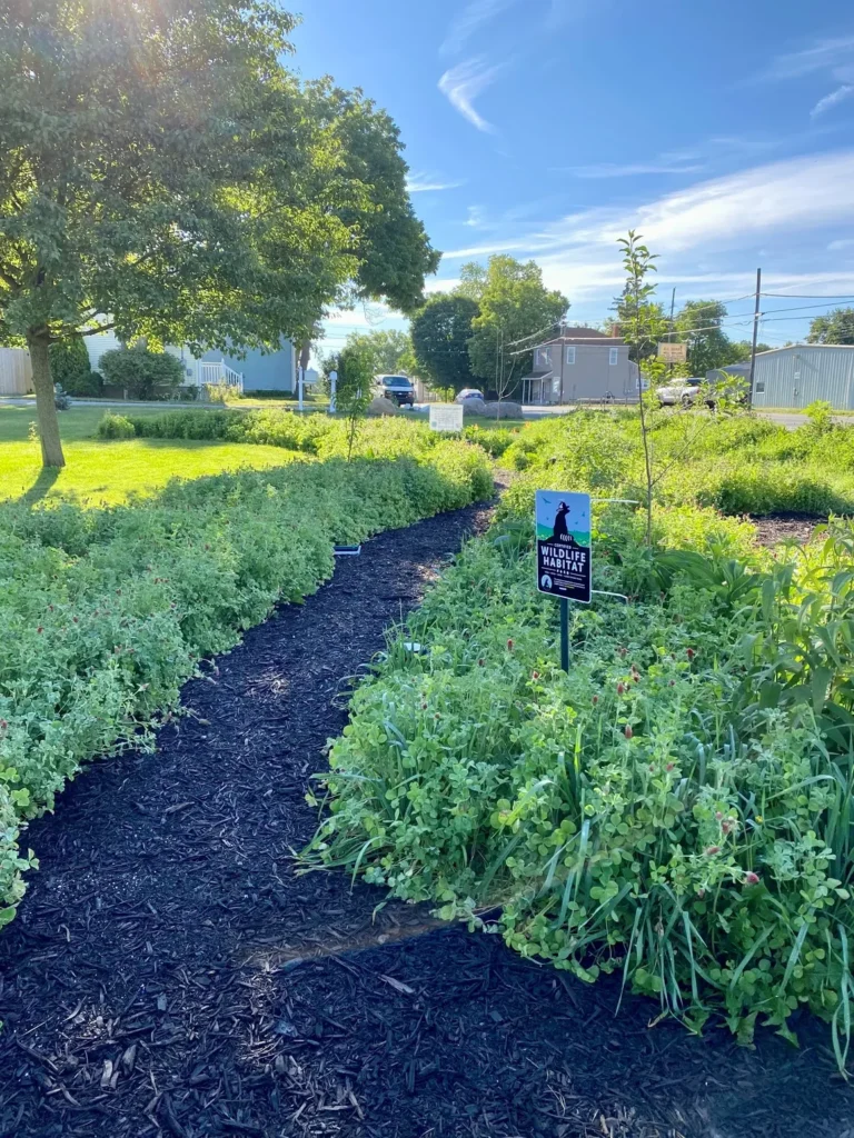 Photos – Alton RV Park